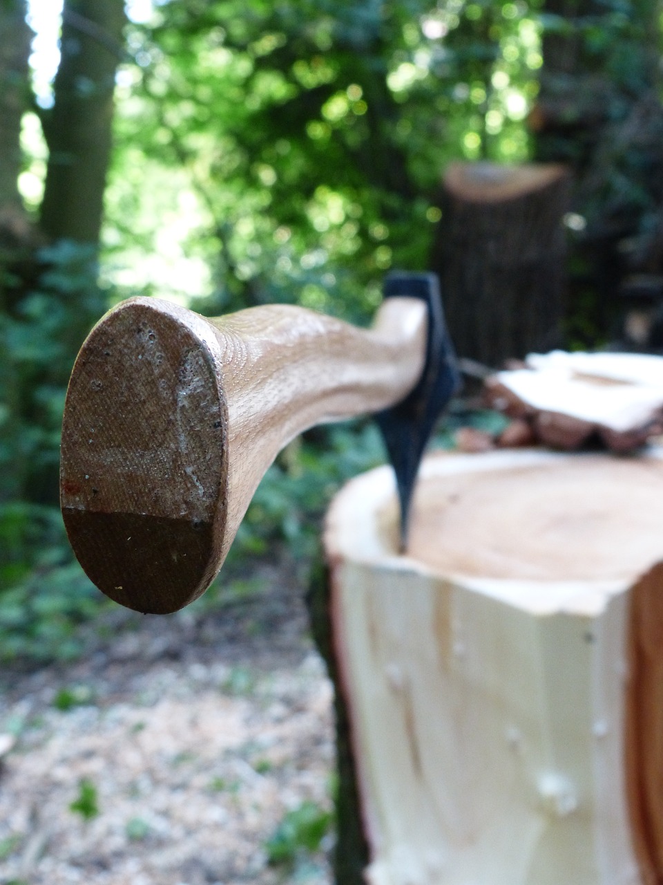 Back to Nature – IRONPROOF TIMBERWORKS